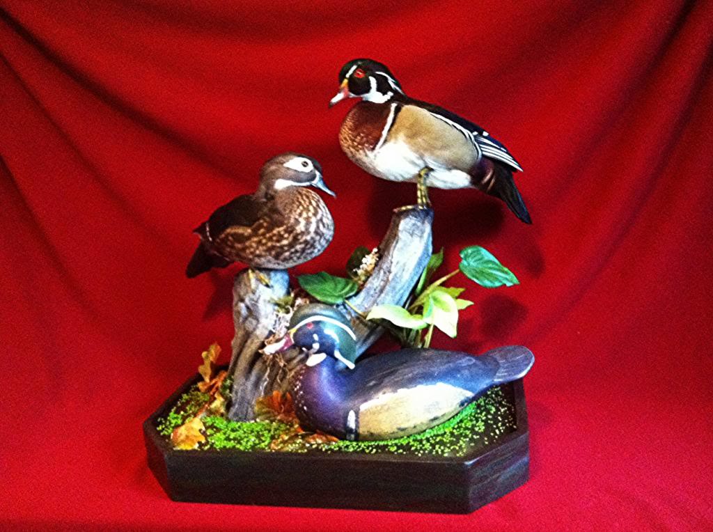 About Hunter’s Haven Taxidermy – Hunters Haven Taxidermy